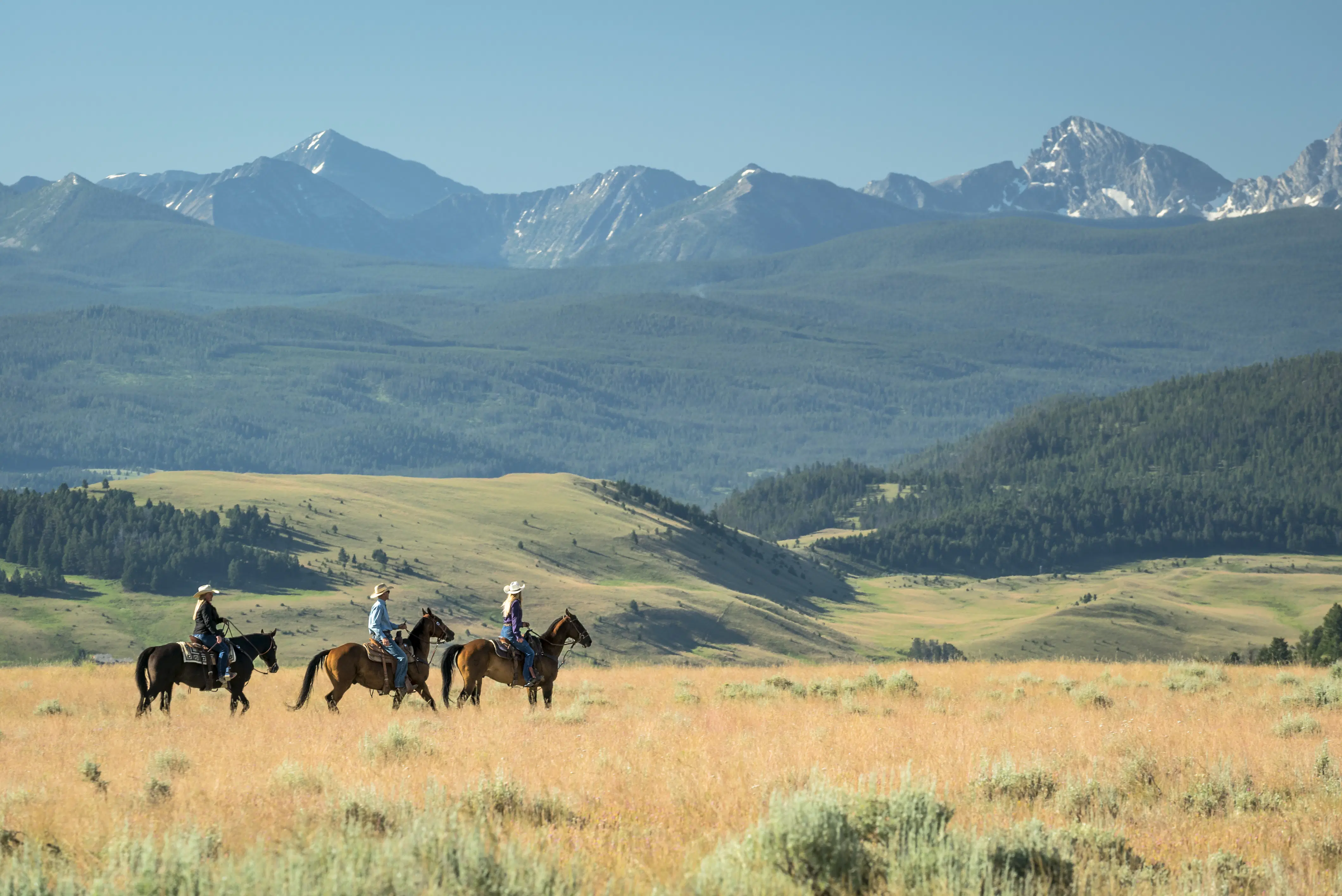 The top US dude ranches to experience life like a cowboy - Lonely Planet