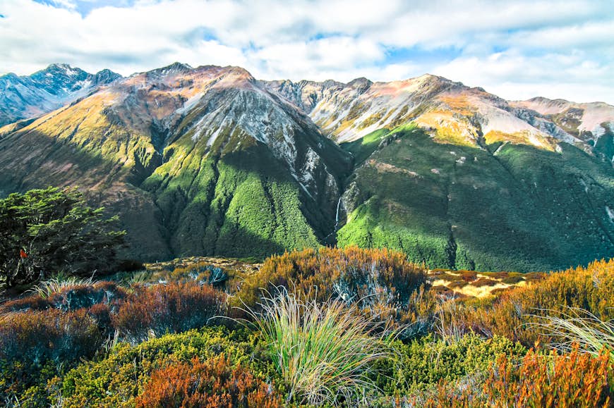 Best national parks in New Zealand - Lonely Planet