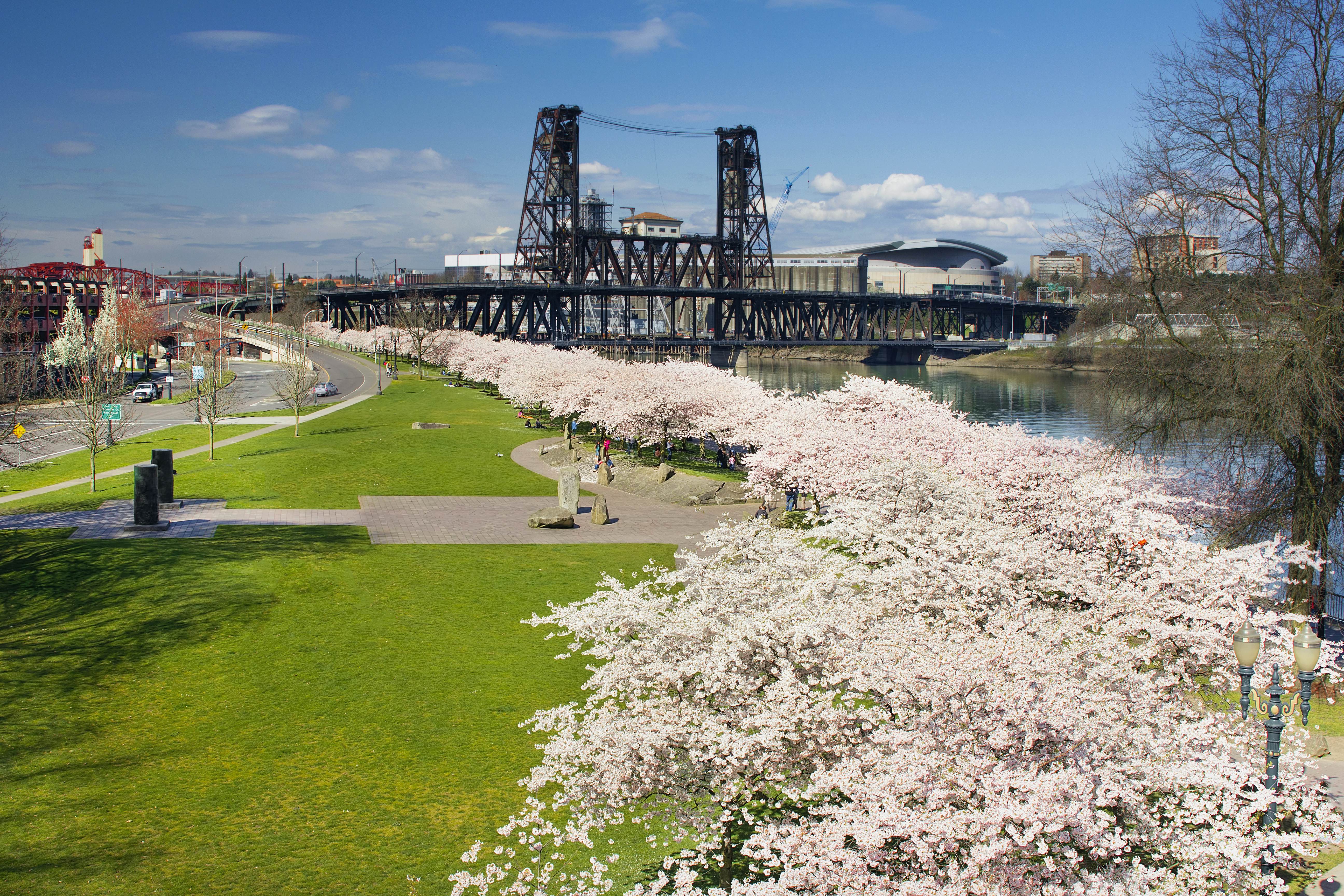 The best time to visit Portland, Oregon - Lonely Planet