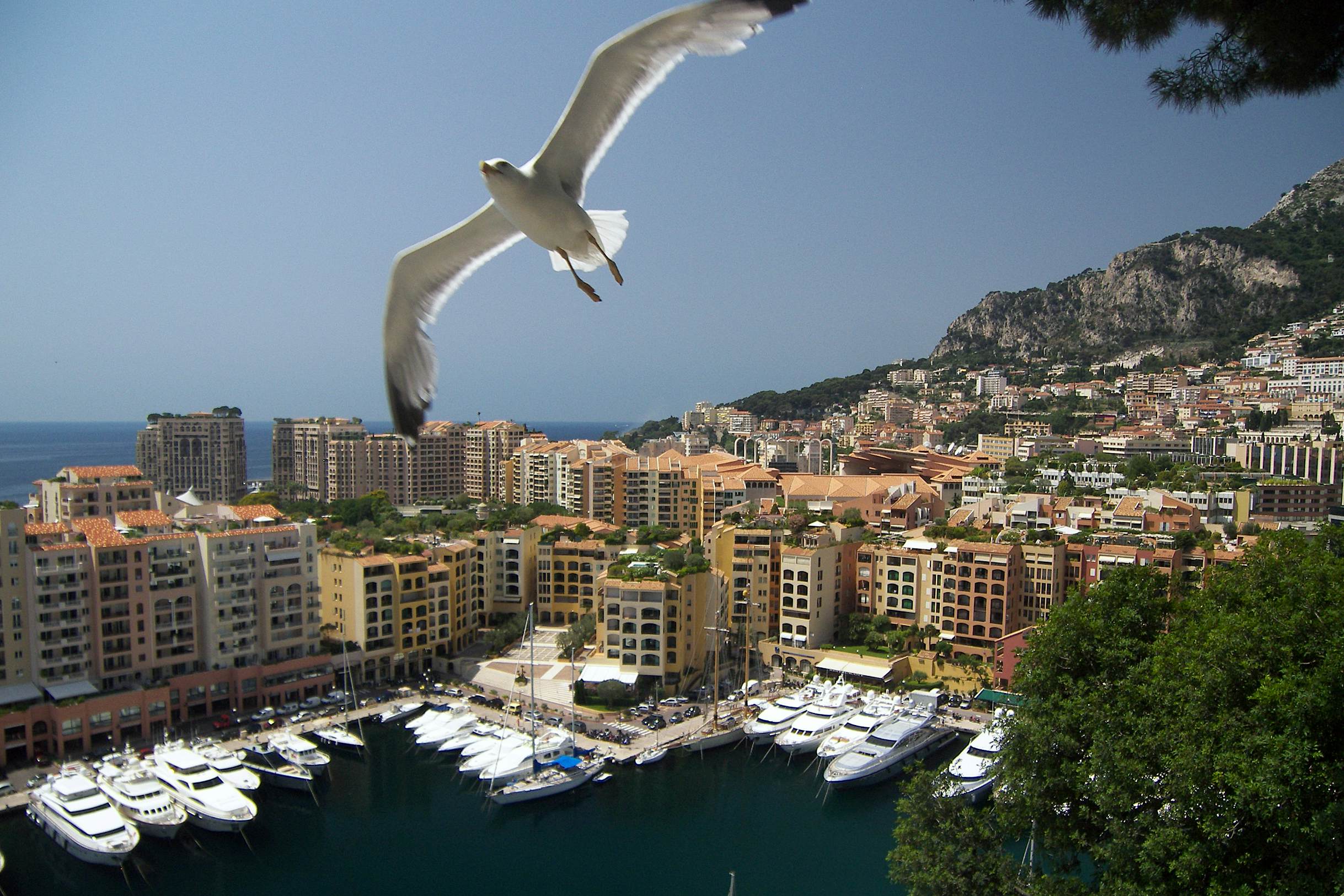 Best day trips from Nice - Lonely Planet