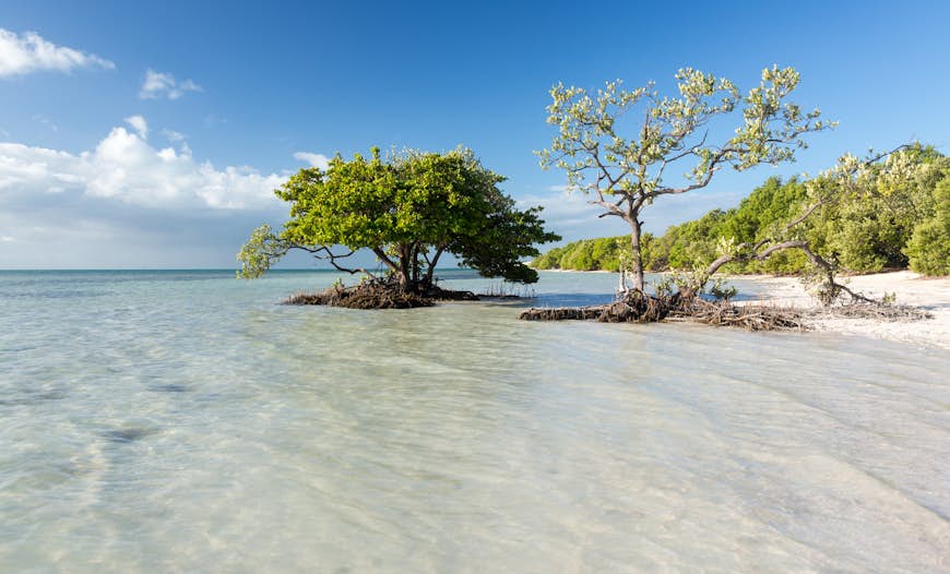The Top 16 Beaches in Florida - Lonely Planet