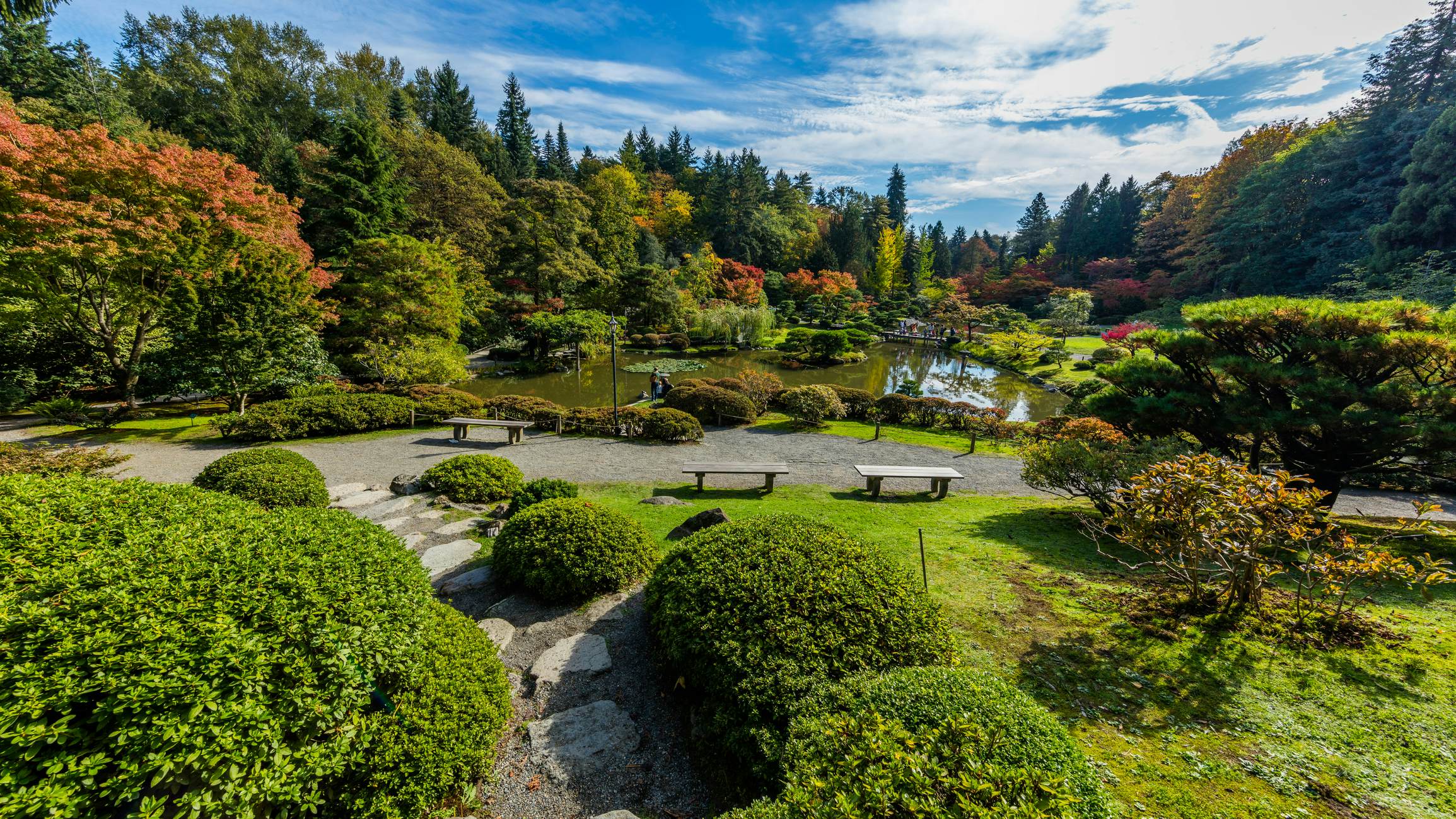 Seattle city guide - Lonely Planet | Washington, USA, North America ...