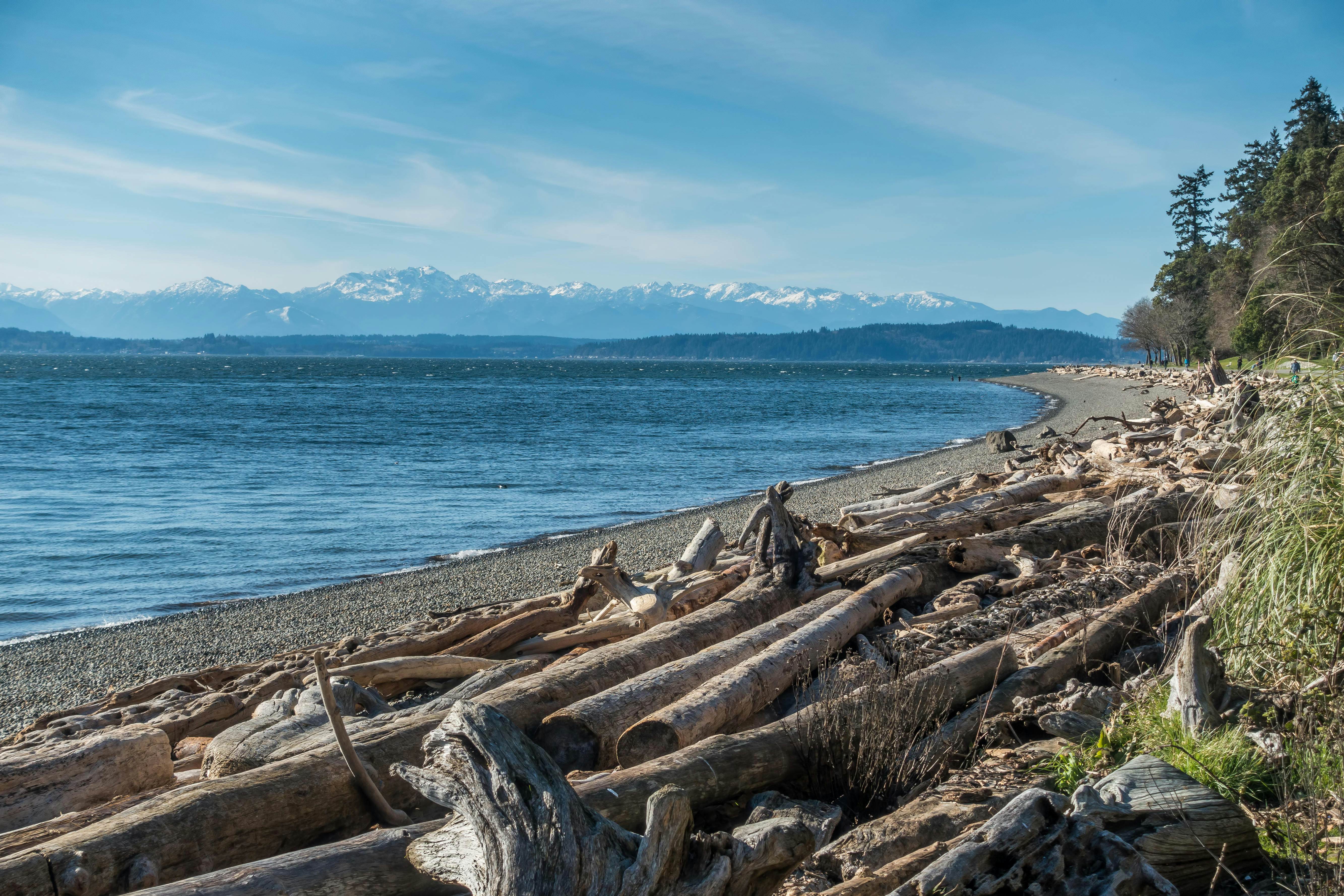 The 11 best beaches in Seattle - Lonely Planet