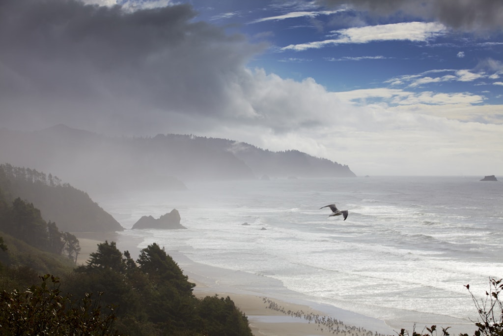 The 13 best beaches in Washington - Lonely Planet