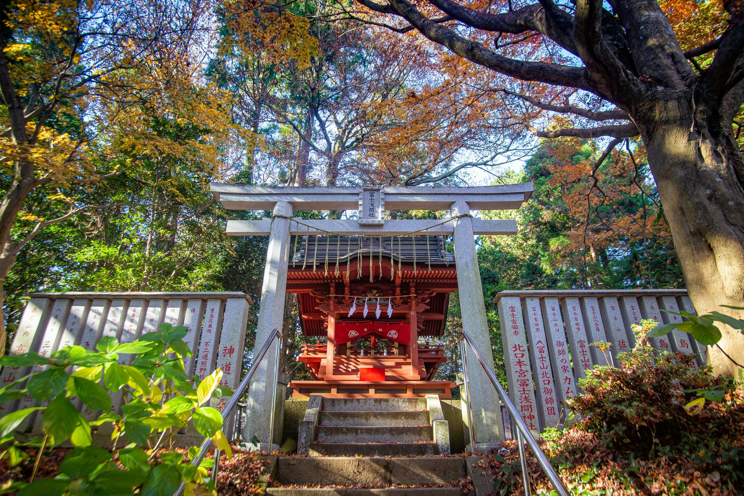 Riding Japan’s ‘New Golden Route’: The vibrant cities of Tokyo, Kyoto ...