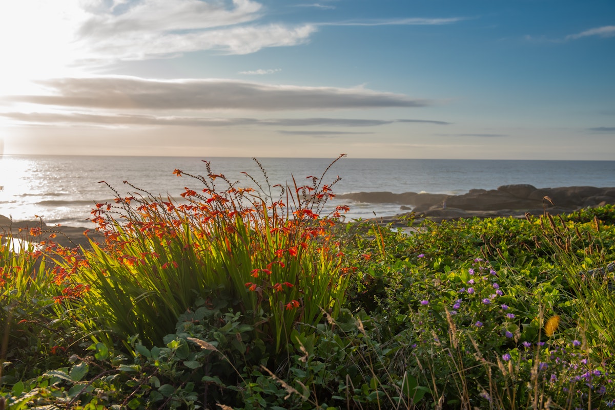 The 10 best beaches in Oregon - Lonely Planet