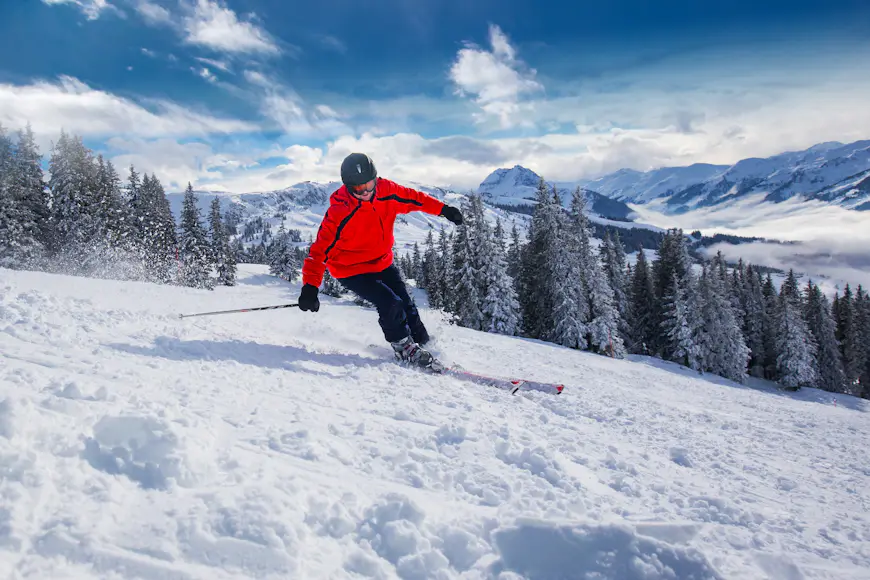 The 10 best day trips from Vienna - Lonely Planet