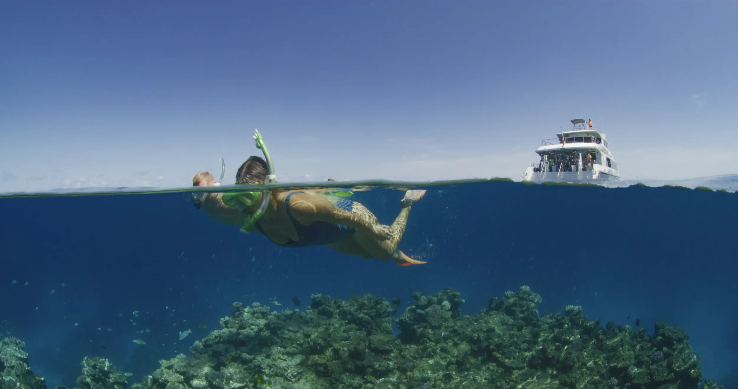 Queensland by Sea: Vivid experiences on and under the water – Lonely ...