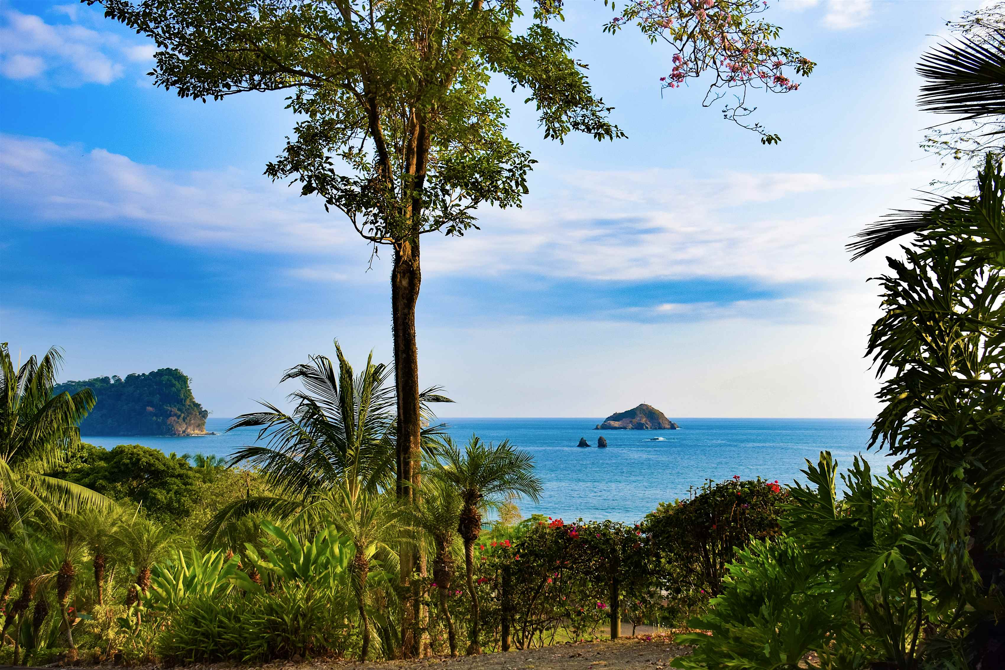 The Best National Parks In Costa Rica Lonely Planet the-best-national-parks-in-costa-rica-lonely-planet
