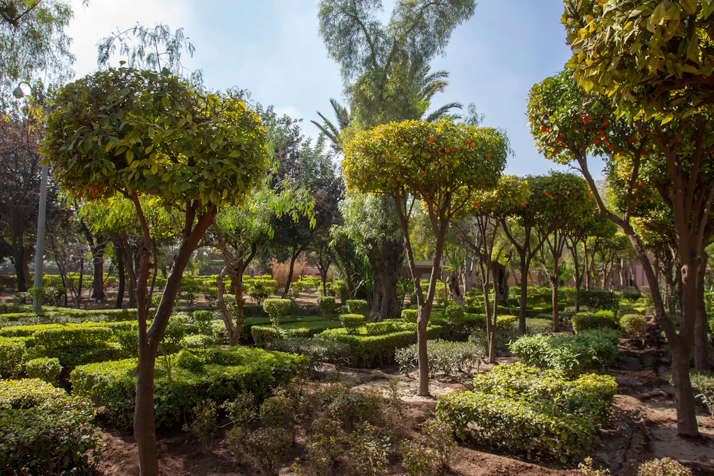 Best parks in Marrakesh - Lonely Planet