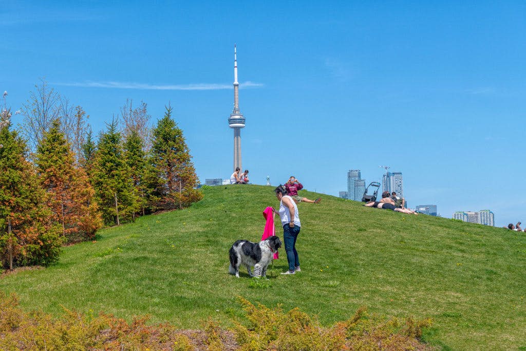 The best parks in Toronto - Lonely Planet
