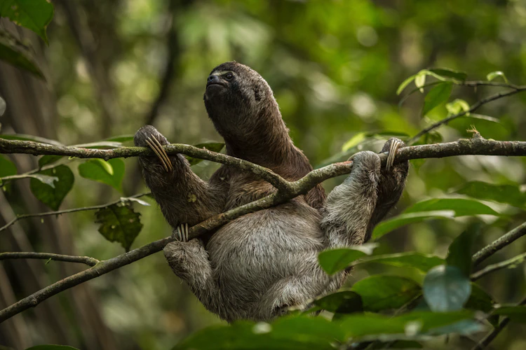 Best national parks and reserves in Peru - Lonely Planet