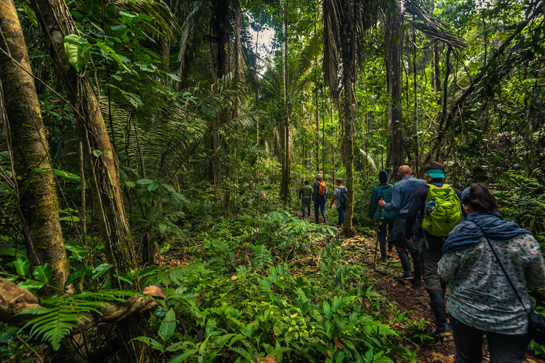 Best national parks and reserves in Peru - Lonely Planet