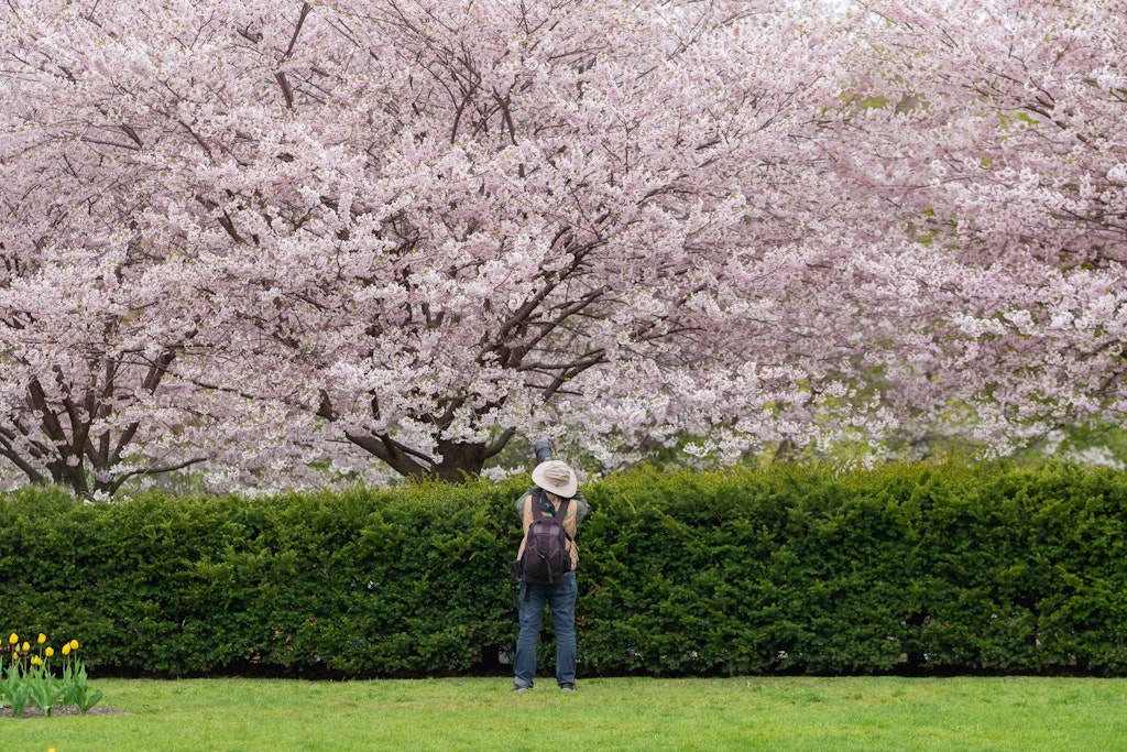 Best time to visit Toronto - Lonely Planet