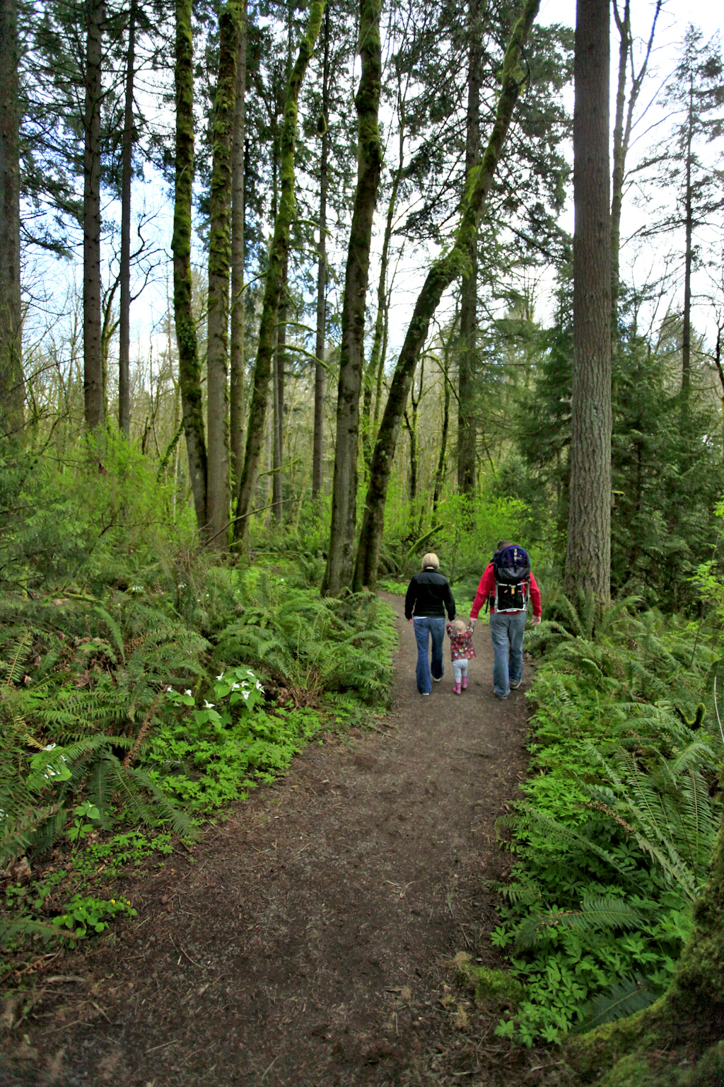 Best parks in Portland, Oregon - Lonely Planet