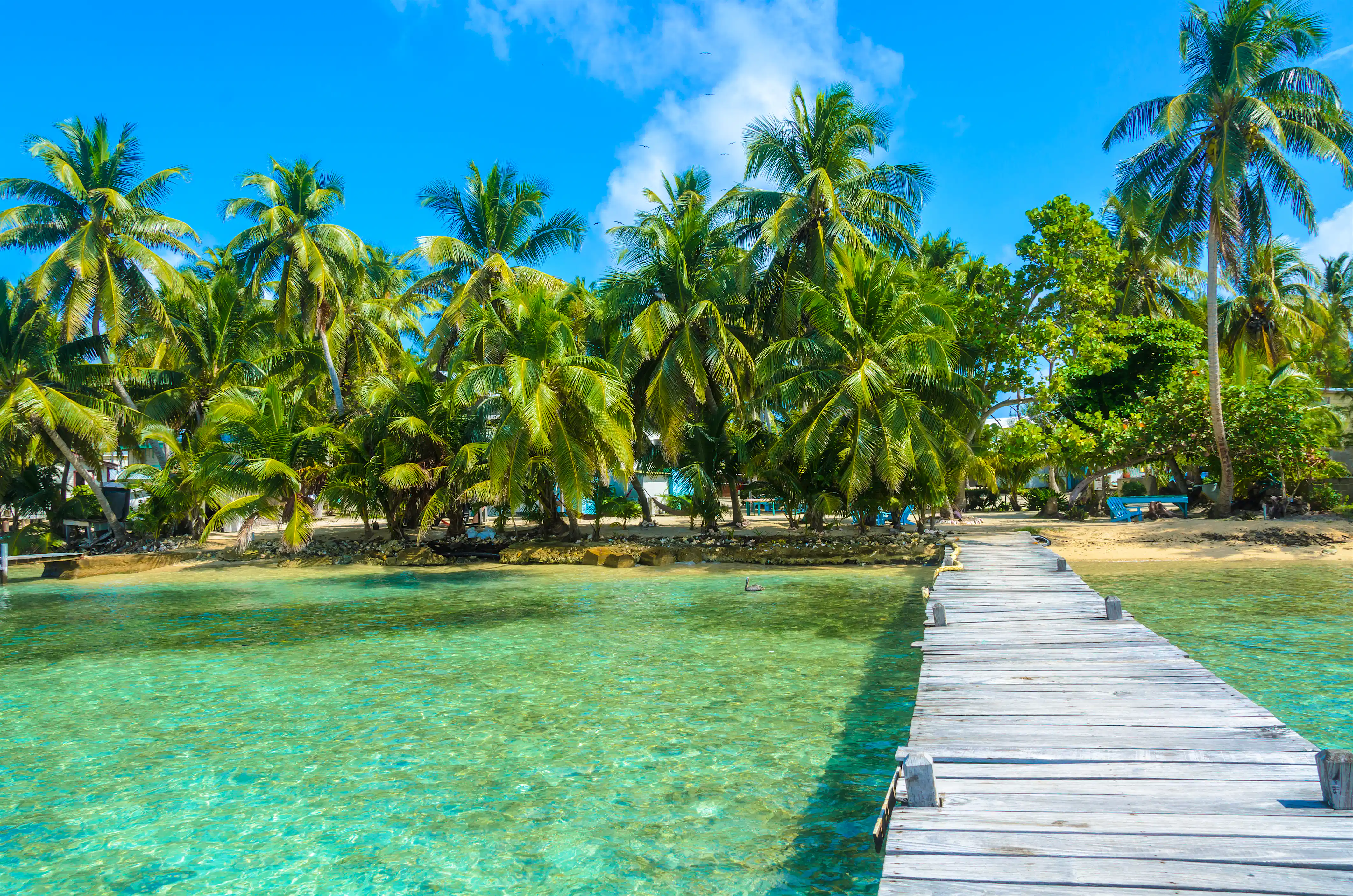 When To Plan A Trip To Belize Lonely Planet when-to-plan-a-trip-to-belize-lonely-planet