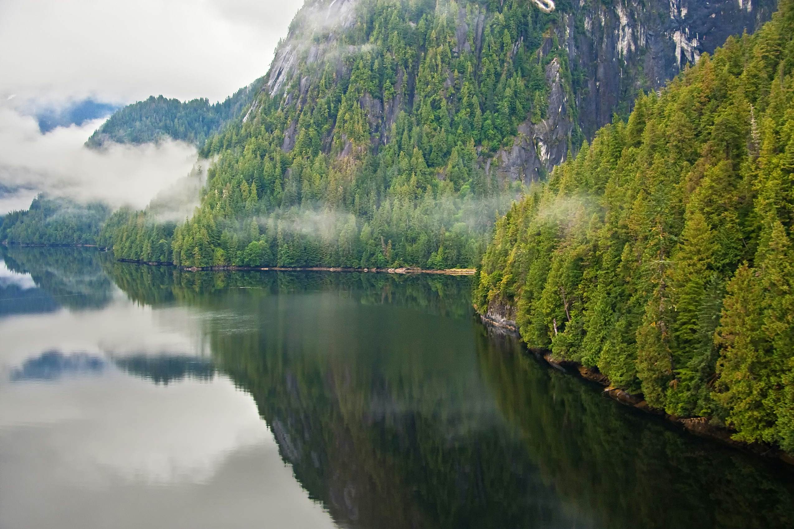 Tongass National Forest | | Sights - Lonely Planet