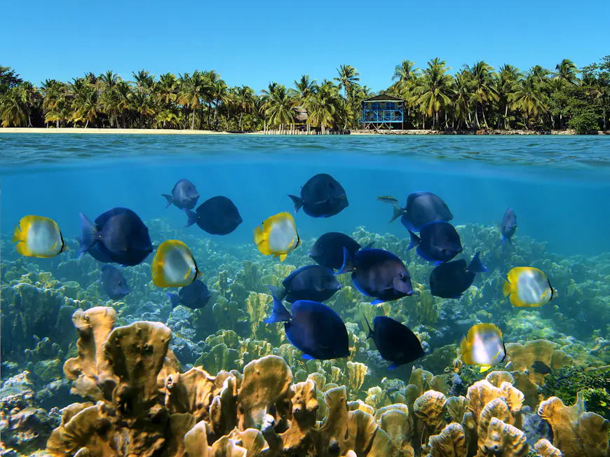Best time to go to Panama - Lonely Planet