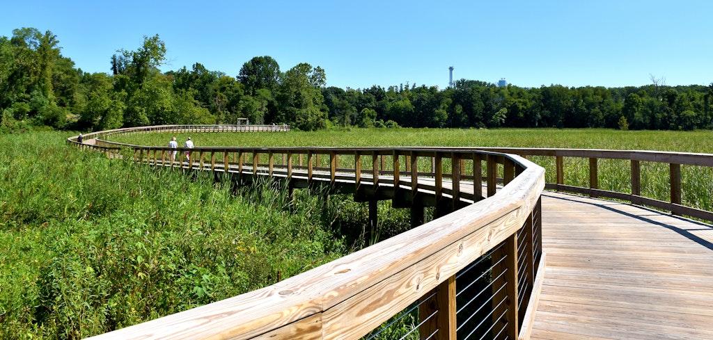 Best hikes in Virginia - Lonely Planet