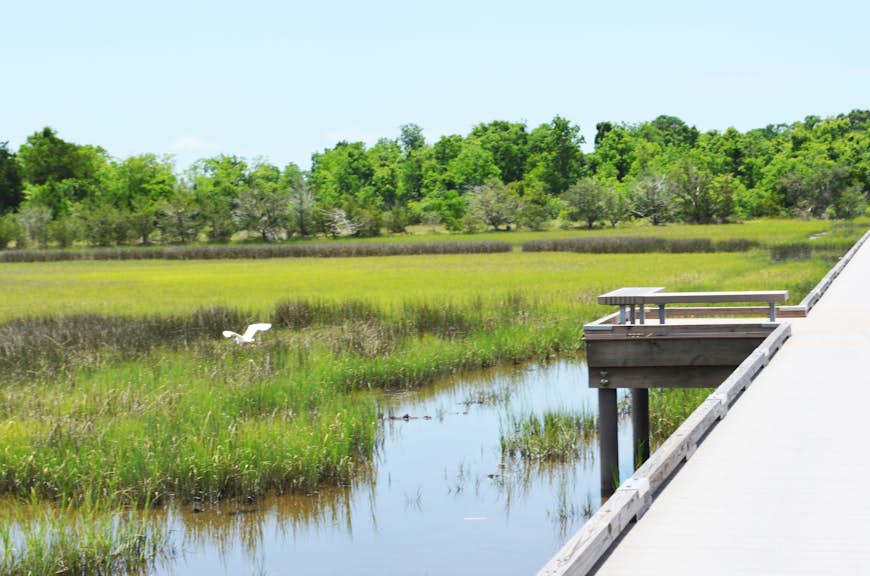 Best Parks in Charleston, South Carolina - Lonely Planet