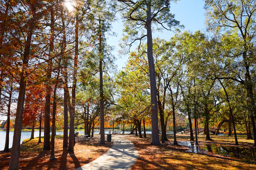 Best parks in Houston - Lonely Planet