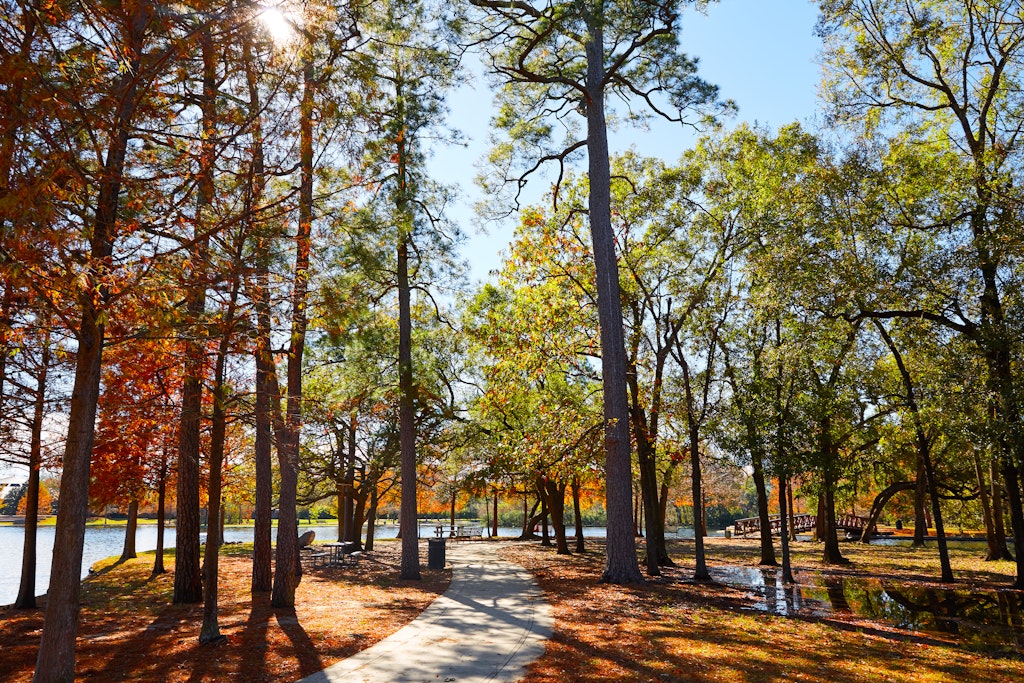 Best parks in Houston - Lonely Planet
