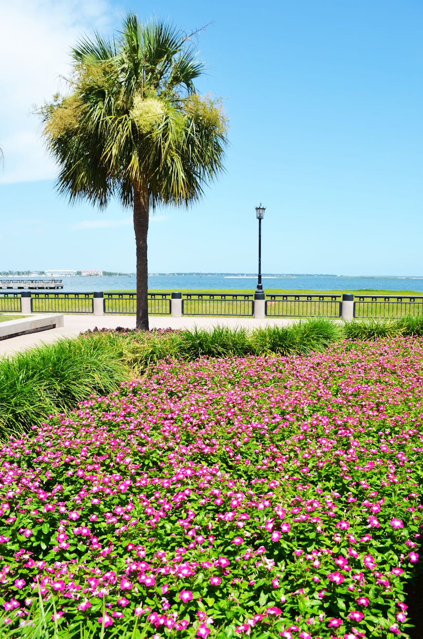 Best Parks in Charleston, South Carolina - Lonely Planet