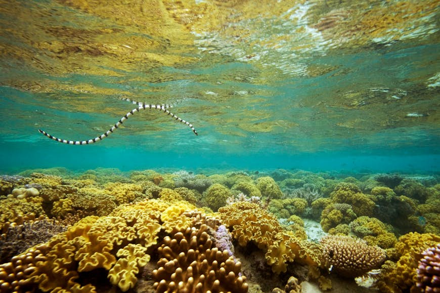 Best beaches in Fiji - Lonely Planet