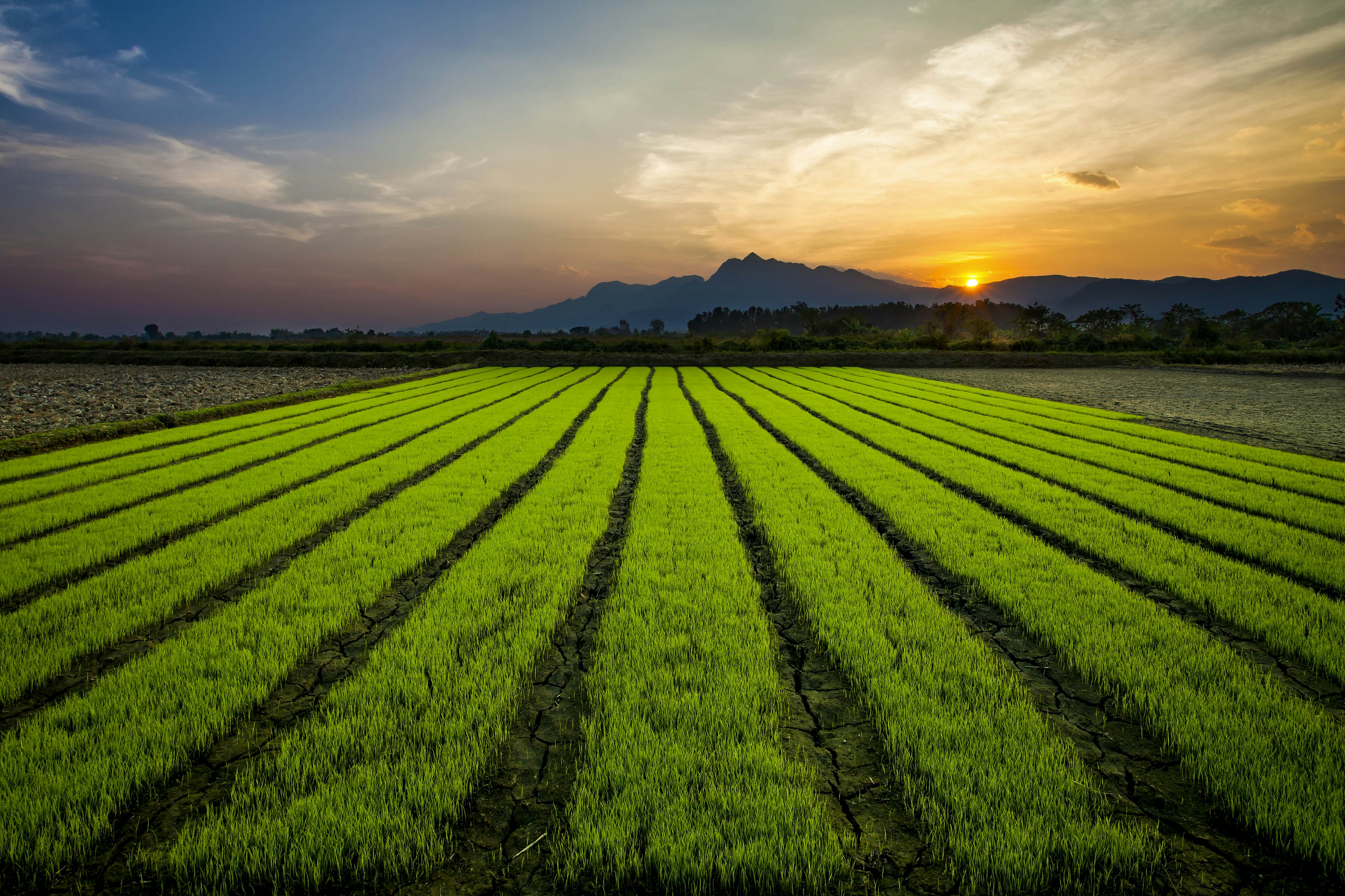 10 of the best things to do in Luang Prabang, Laos - Lonely Planet