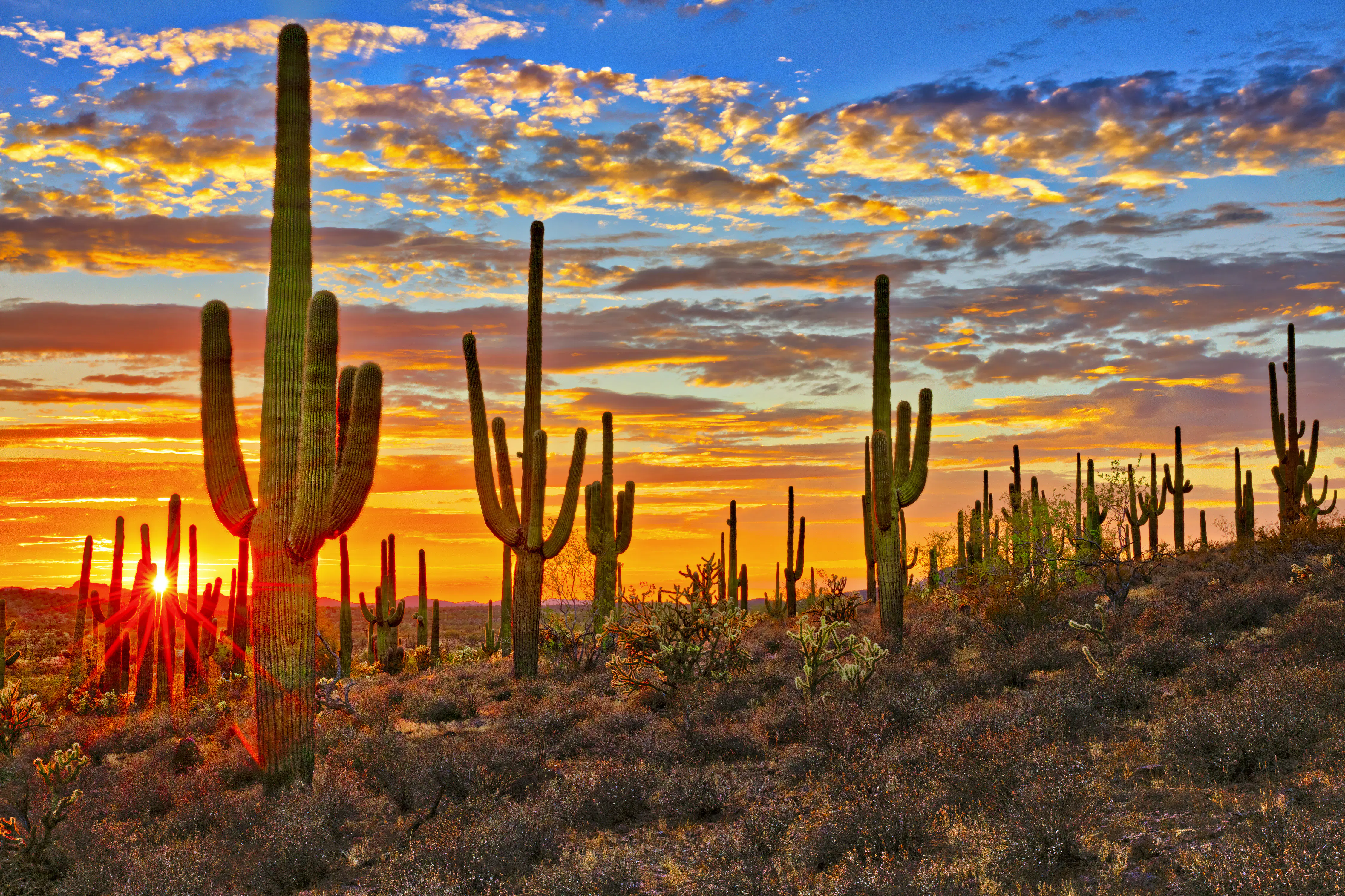 The Best National parks and monuments in Arizona - Lonely Planet