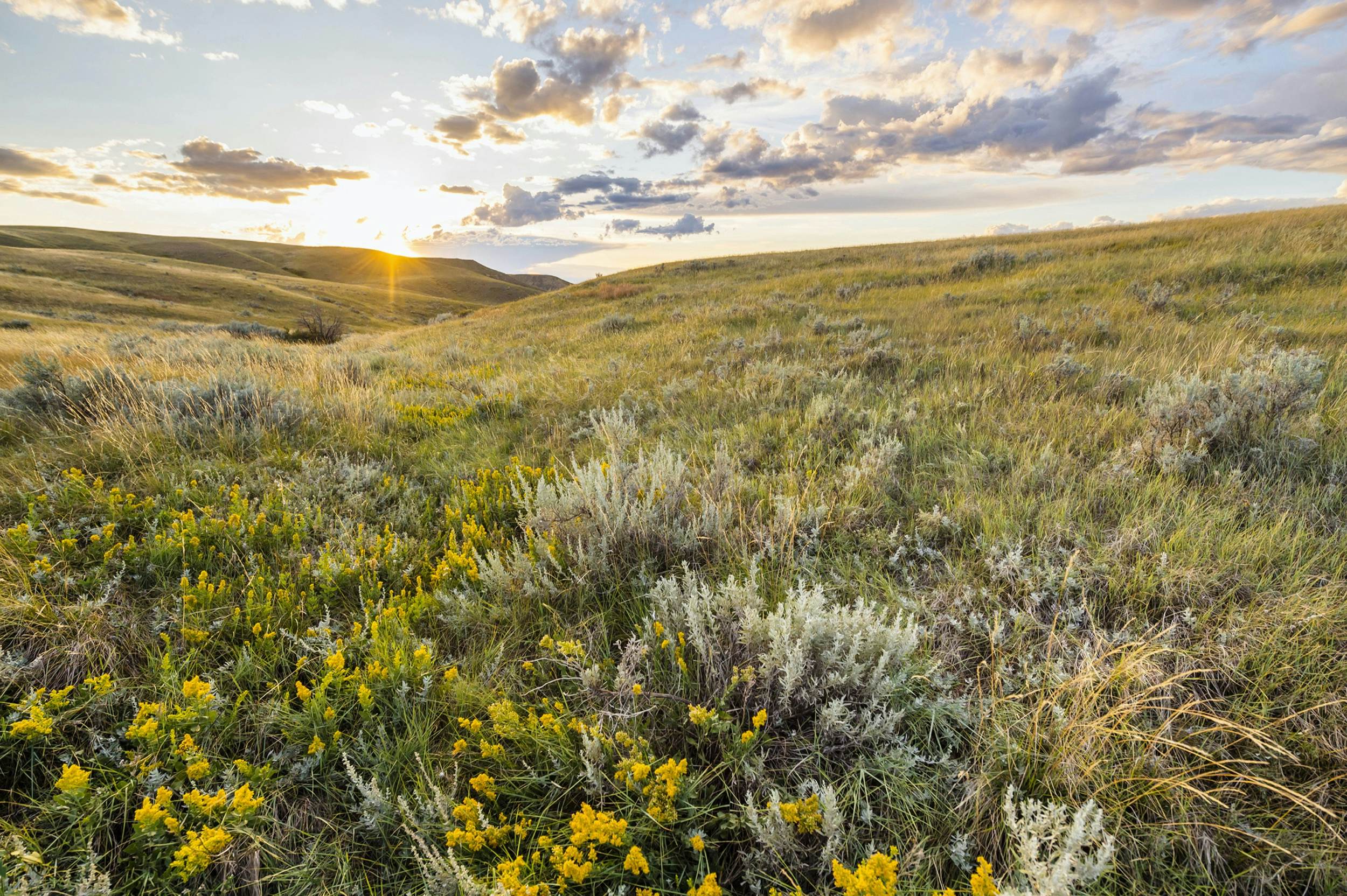Road trip Saskatchewan's stunning National Parks – Lonely Planet ...