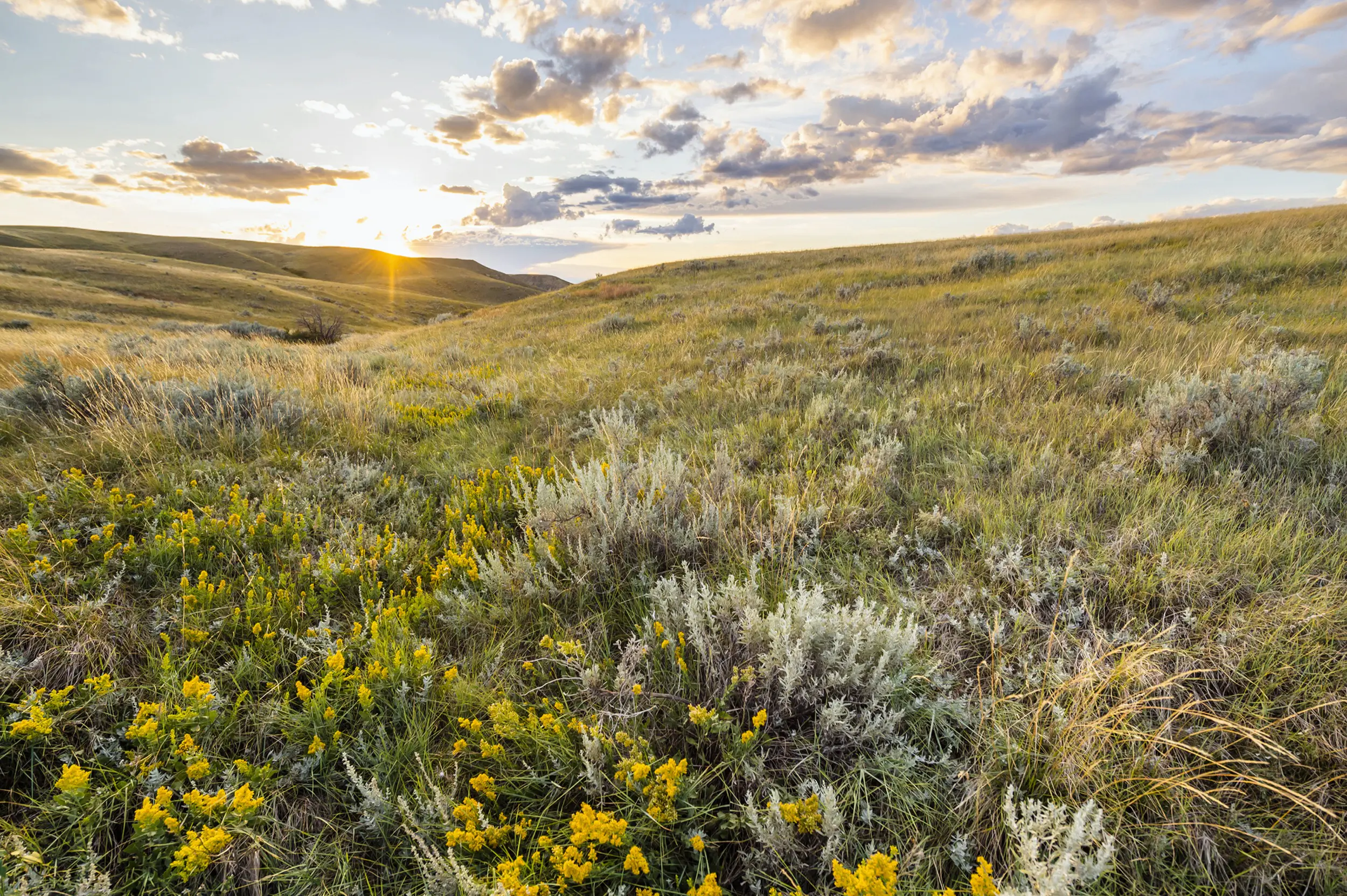 Road trip Saskatchewan's stunning National Parks – Lonely Planet ...