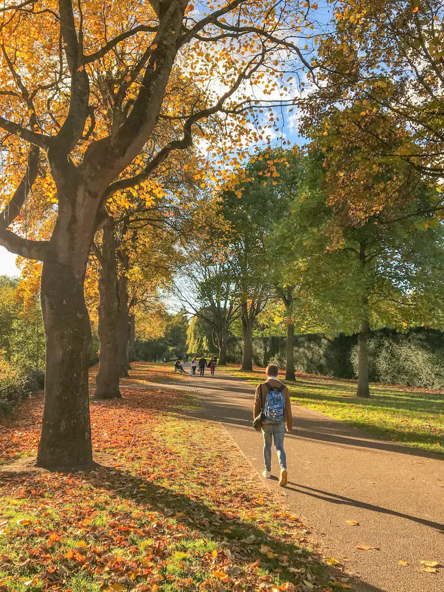Best things to do in Cardiff - Lonely Planet