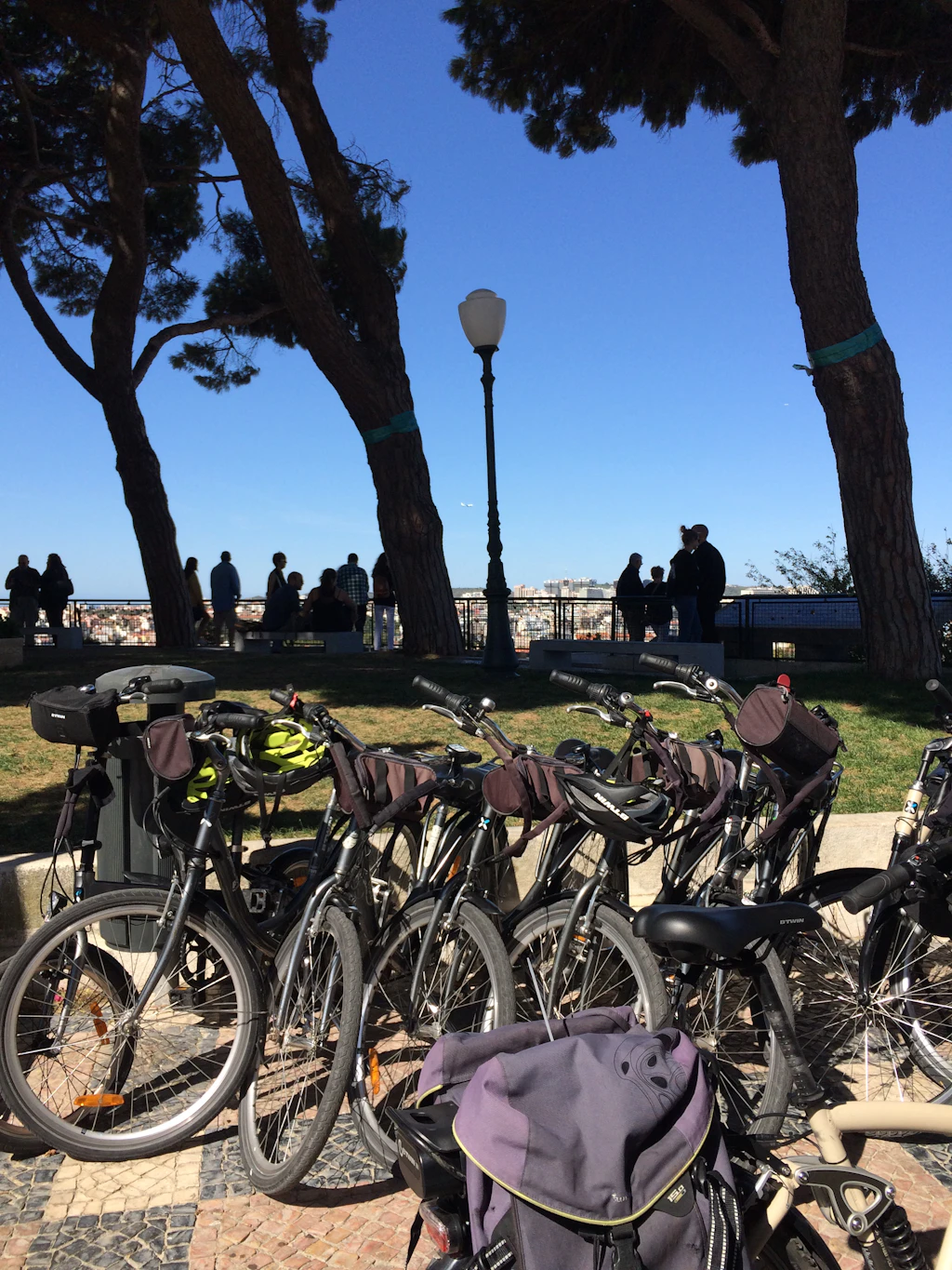 Best parks in Lisbon - Lonely Planet