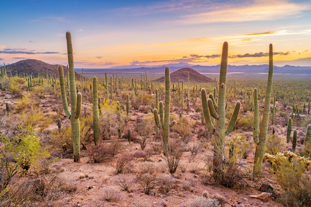 Explore Arizona's parks beyond the Grand Canyon - Lonely Planet