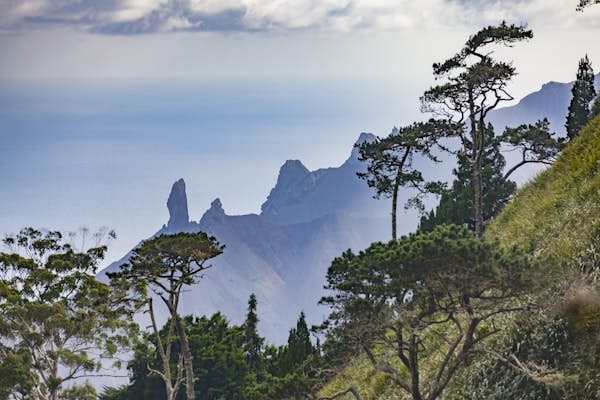 The allure and attractions of St Helena - Lonely Planet