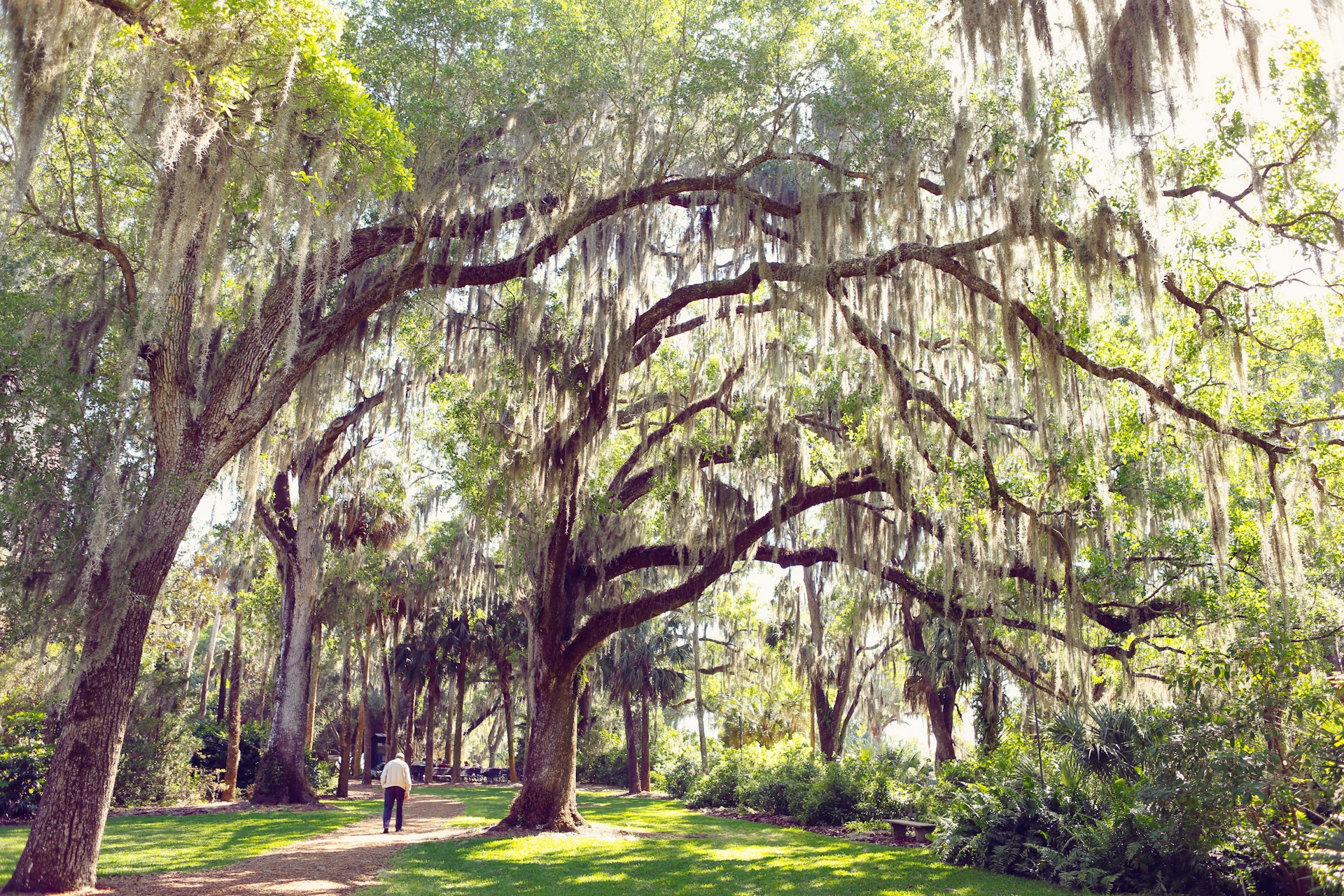 Free things to do in Savannah - Lonely Planet