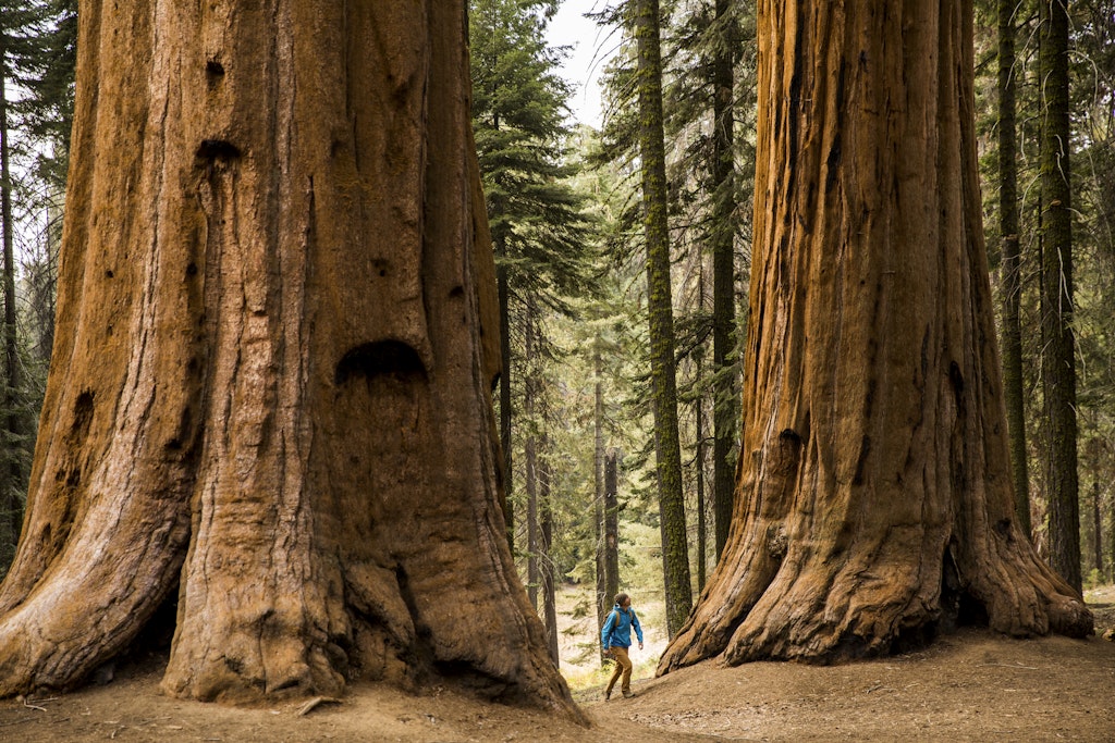 Visit California's national parks in one epic trip – Lonely Planet ...