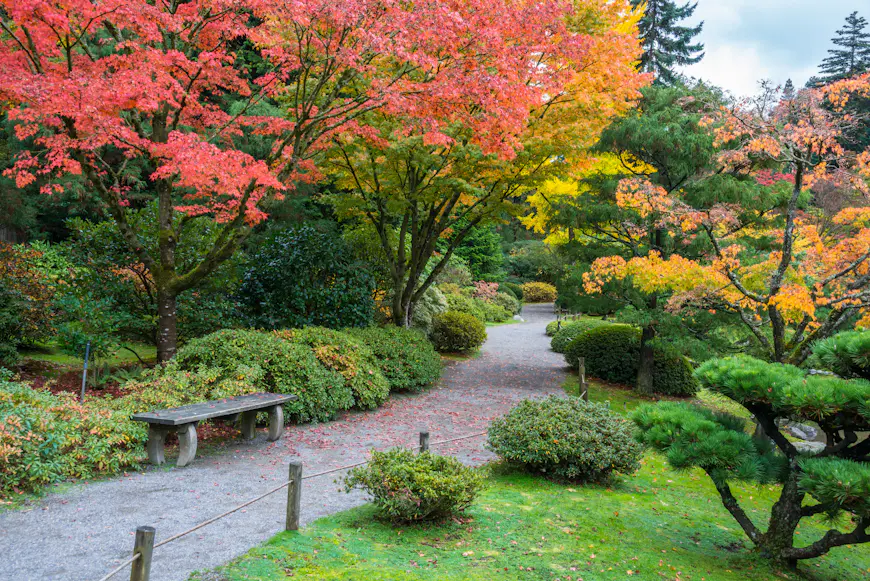 Enjoy mountains, forests, and beaches at Seattle's free parks - Lonely ...