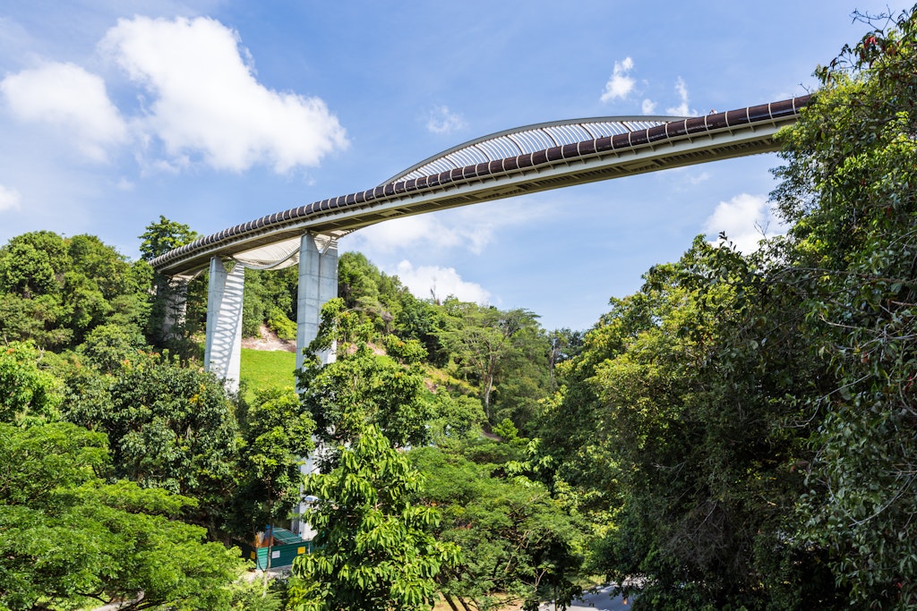 Best hikes in Singapore - Lonely Planet