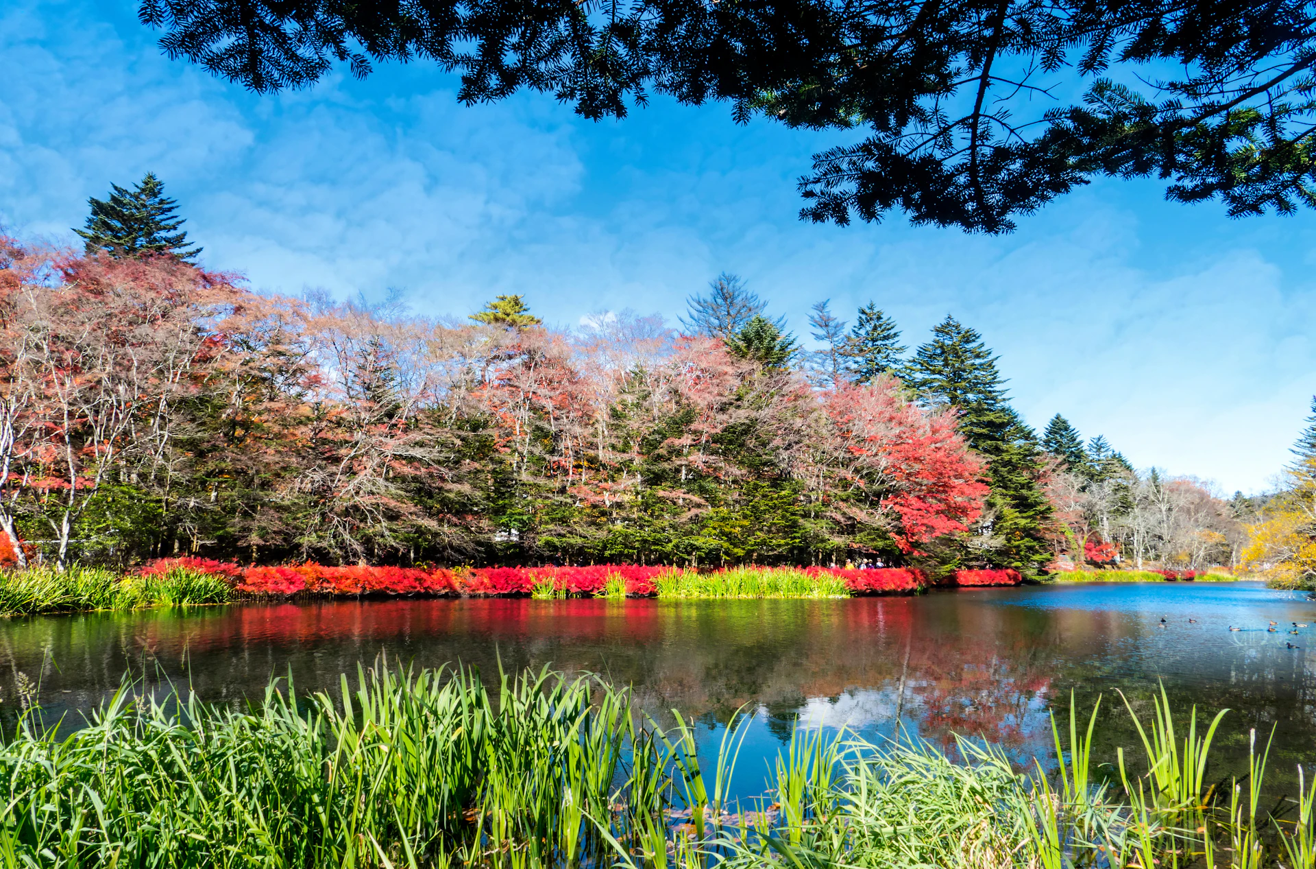 Best parks in Kyoto - Lonely Planet