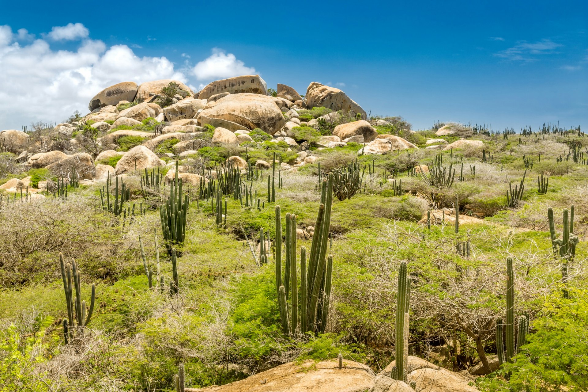 Best hikes in Aruba – Lonely Planet - Lonely Planet