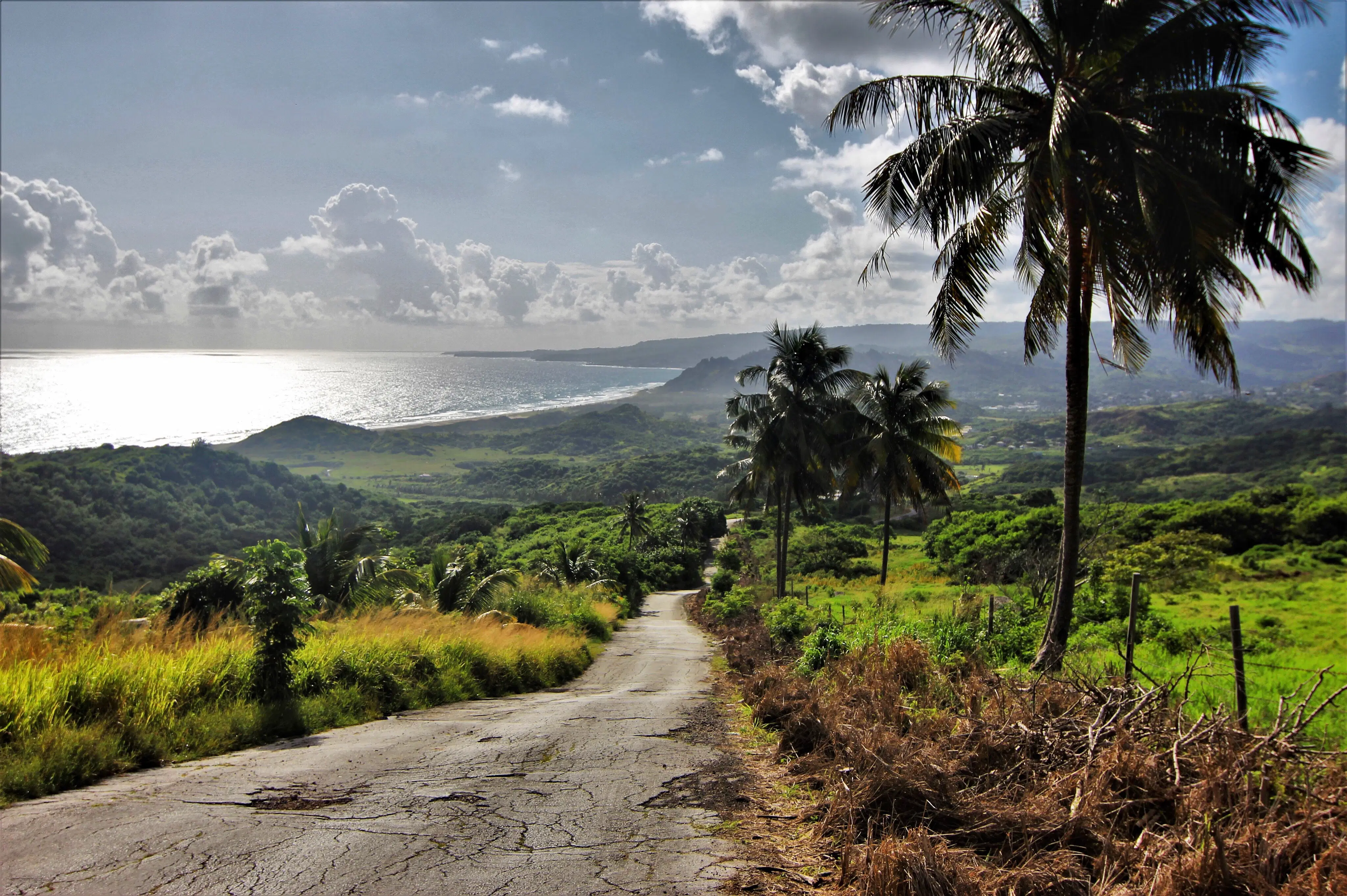 Best hikes in Barbados – Lonely Planet - Lonely Planet