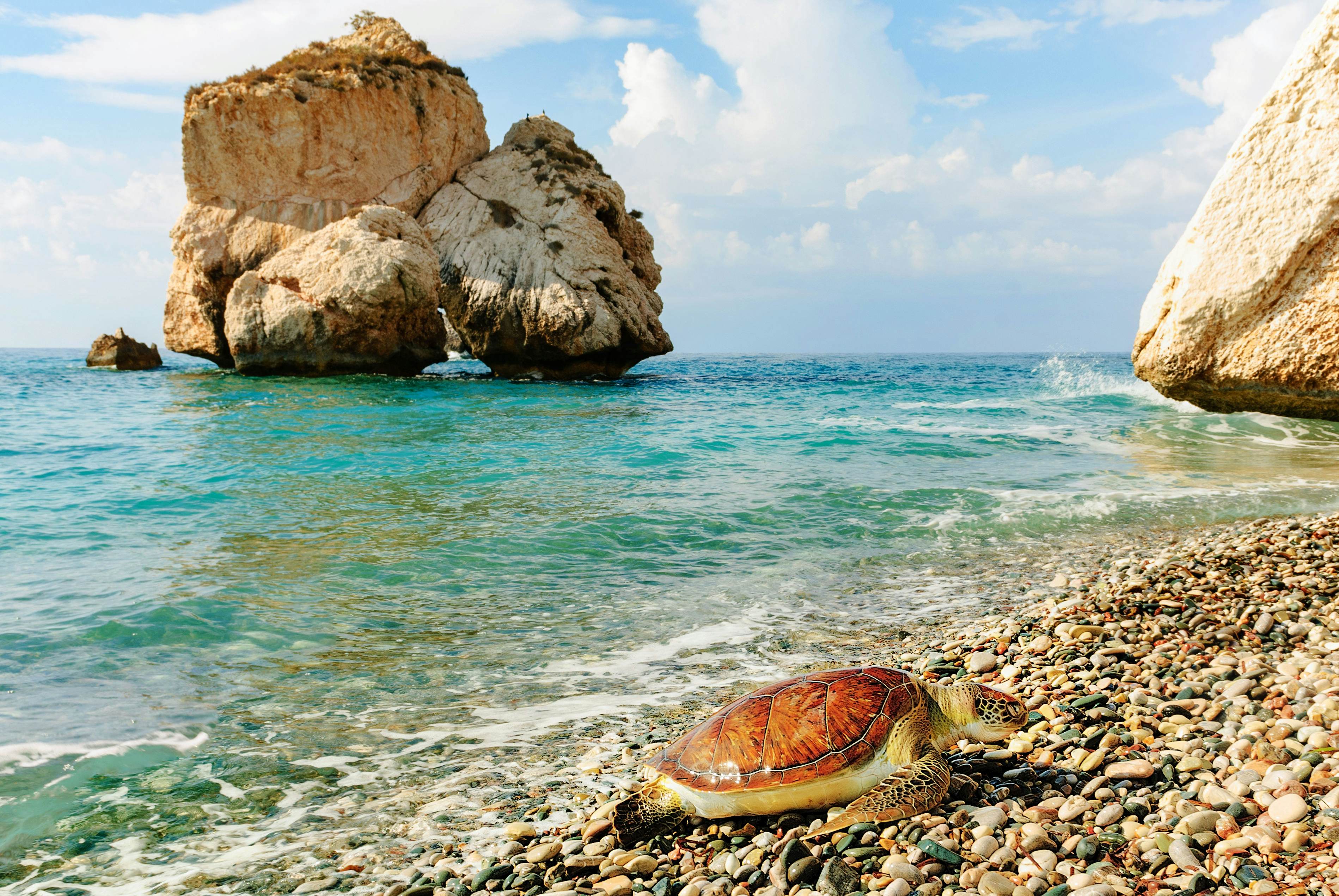 Best beaches in Cyprus - Lonely Planet