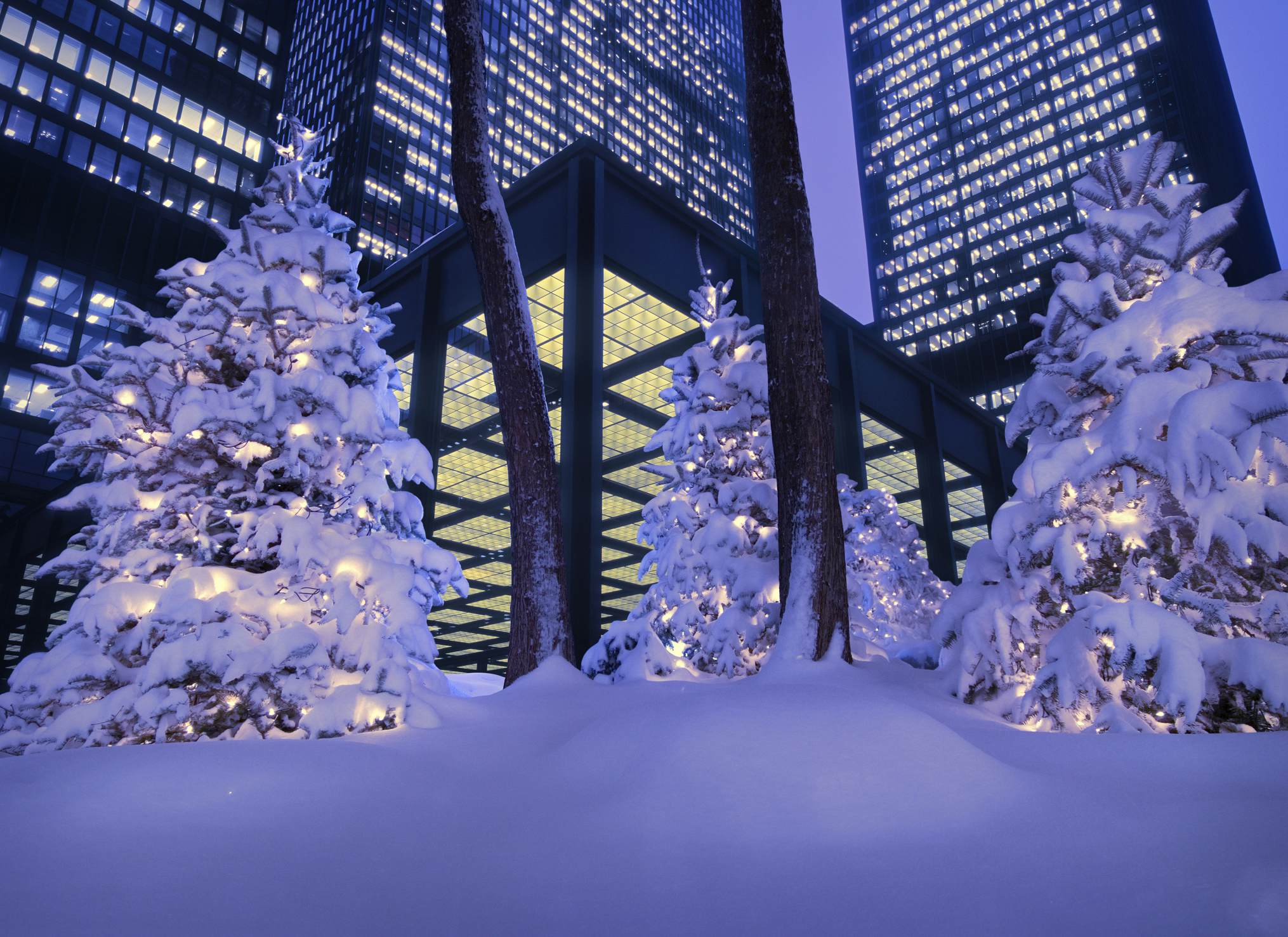 Best neighborhoods in Toronto - Lonely Planet