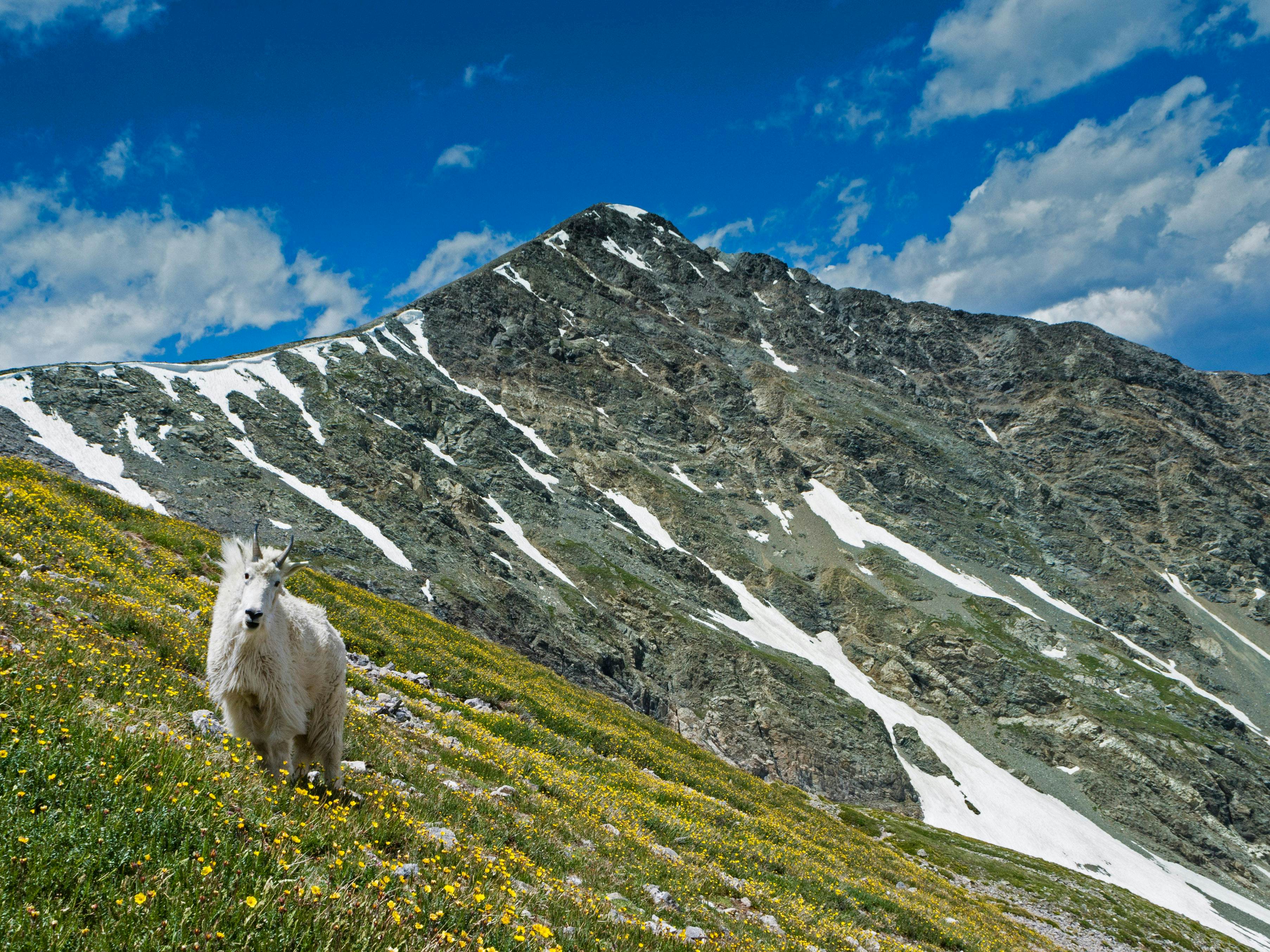 The best Rocky Mountain day trips from Boulder - Lonely Planet