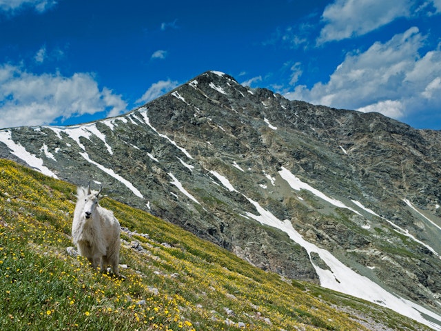 The best Rocky Mountain day trips from Boulder - Lonely Planet