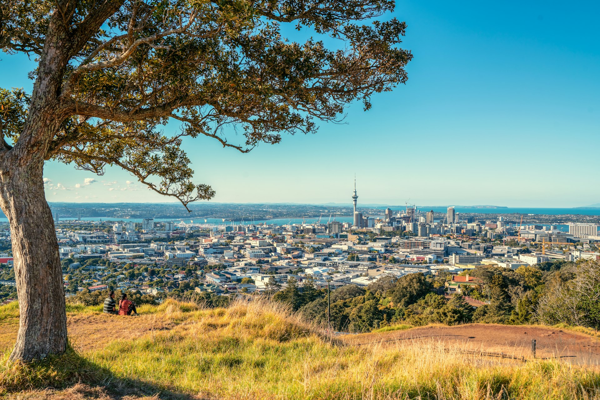 11 of the best things to do in Auckland - Lonely Planet
