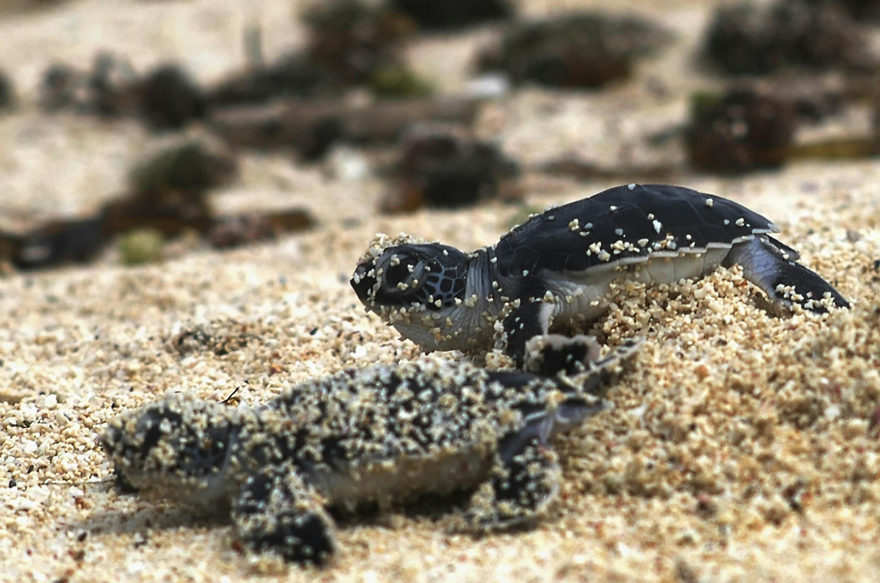 The best national parks in Cuba - Lonely Planet