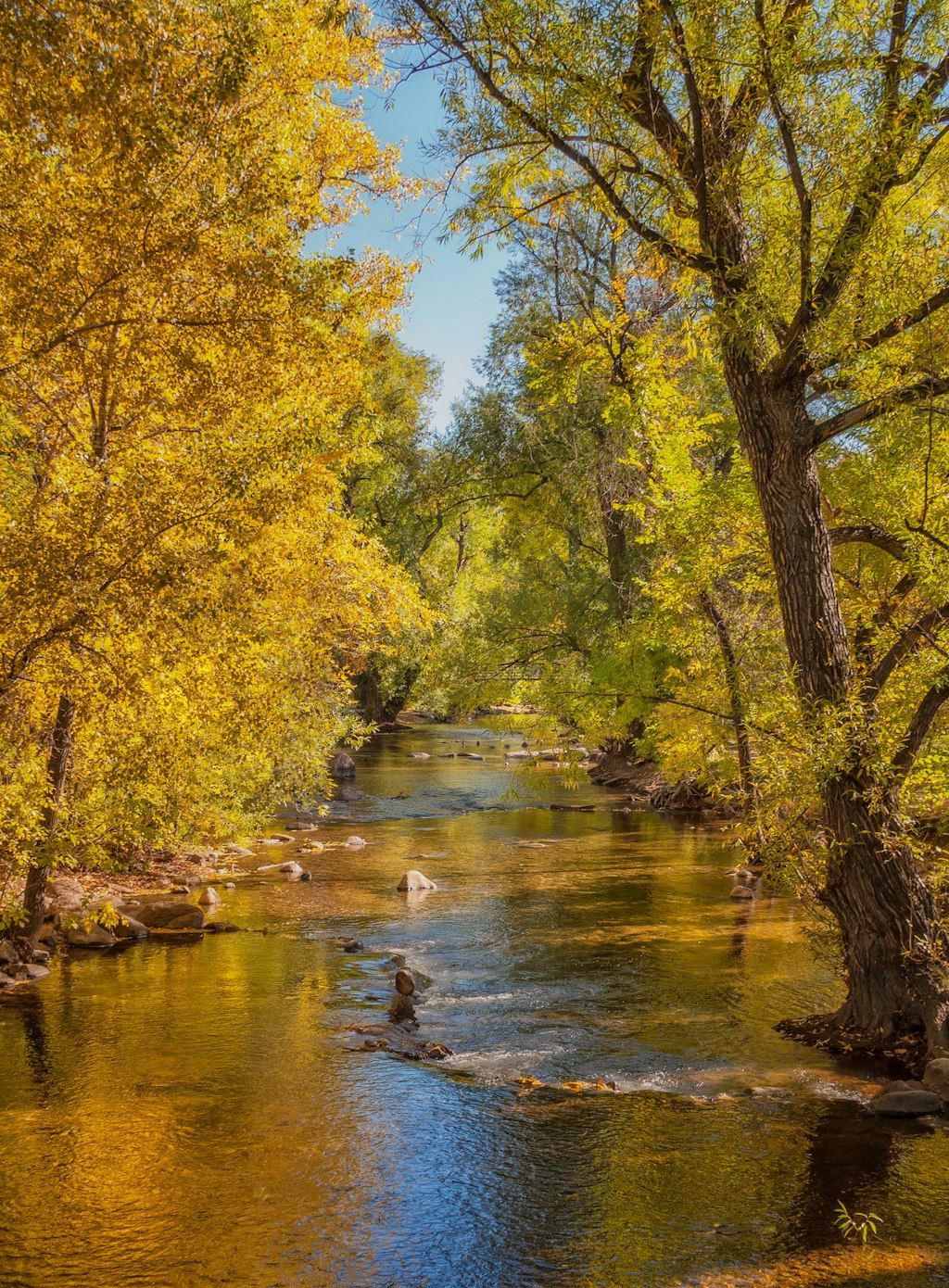 The best parks in Boulder - Lonely Planet